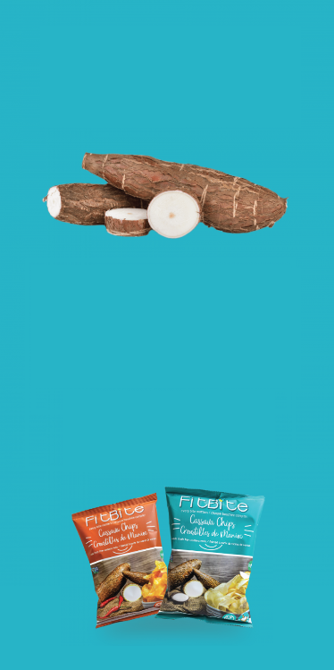 Fit Bite Chips – FitBiteChips